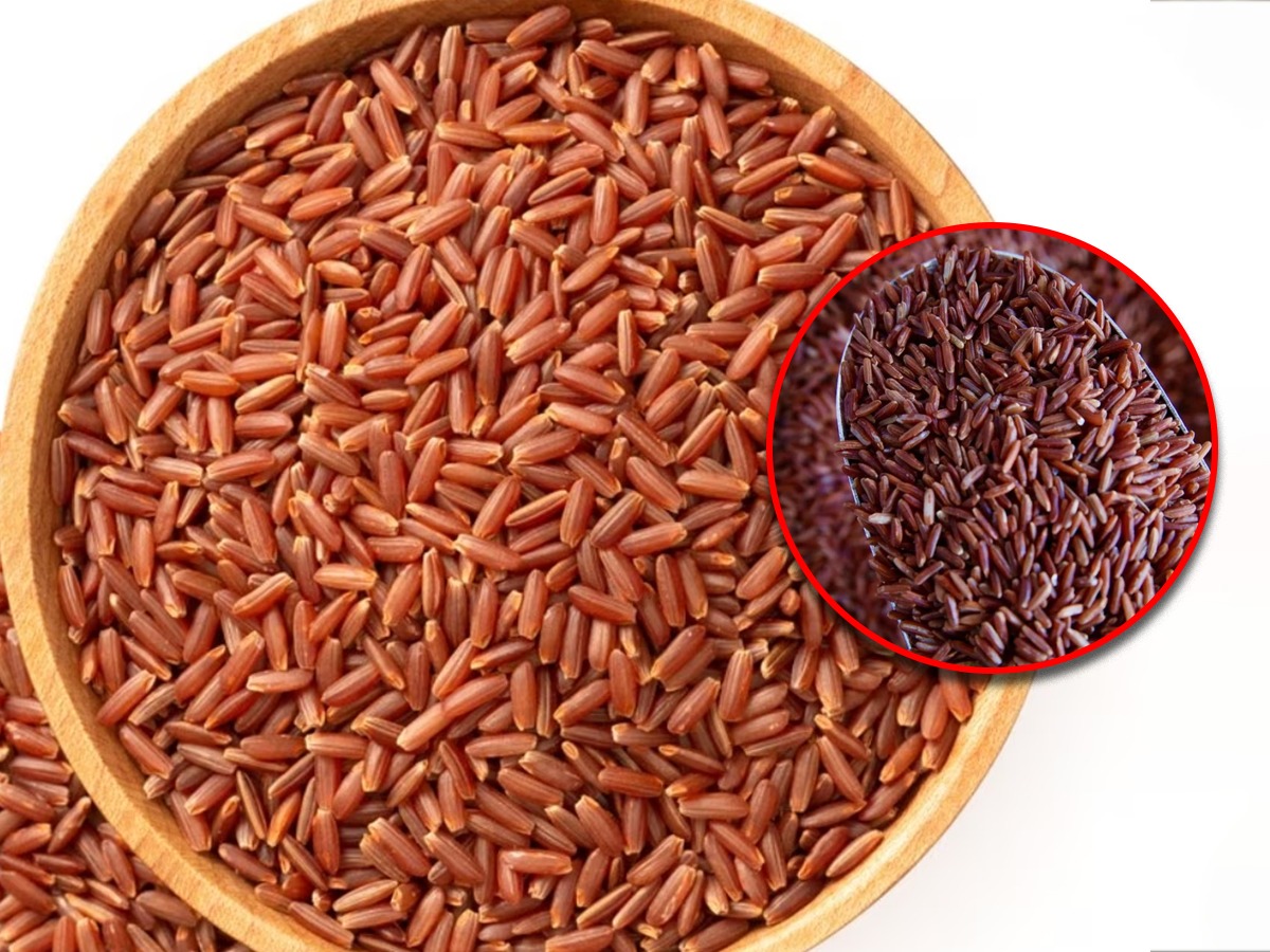 'हा' आहे जगातील सर्वात महागडा तांदूळ, किंमत पाहून तुम्हाला बसेल धक्का ...