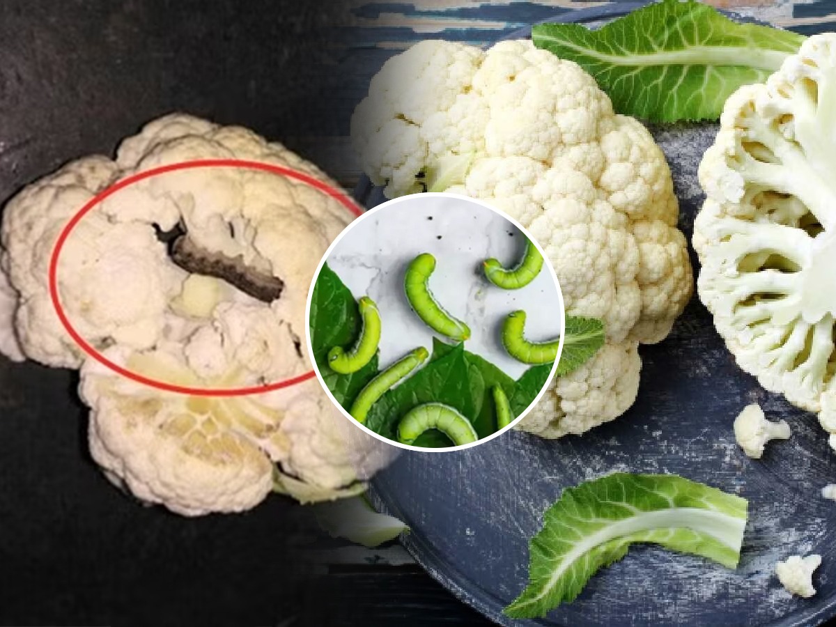 फ्लॉवरमध्ये अळ्या असतात, फार वेळ जातो चिरायला? ५ सोप्या टिप्स, पटकन ...