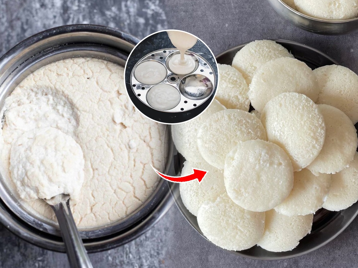 इडलीचं पीठ भरपूर फुलेल, डाळ-तांदूळ वाटताना 'हा' पदार्थ घाला; मऊ ...