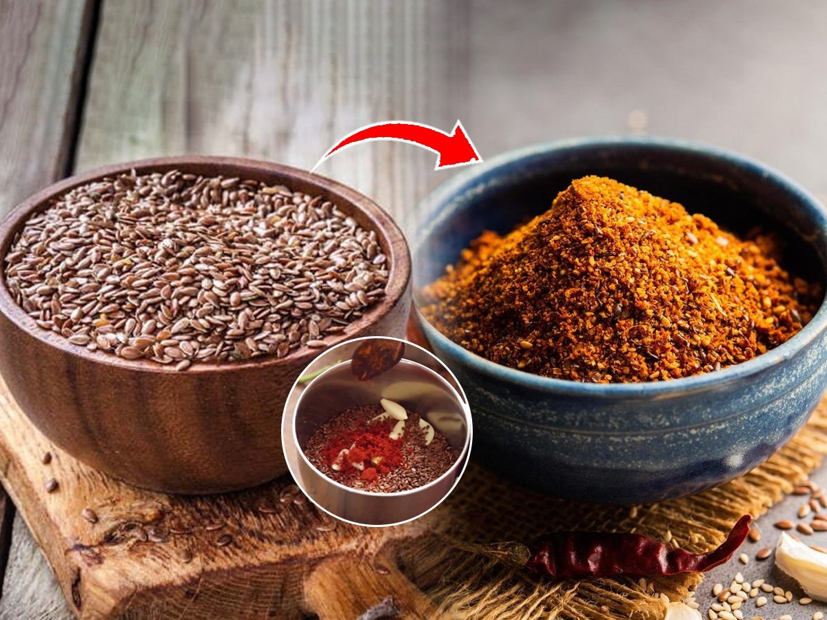 कोण म्हणतं जवसाची चटणी खमंग होत नाही? १ सोपी रेसिपी, हिवाळ्यात ताटात ...