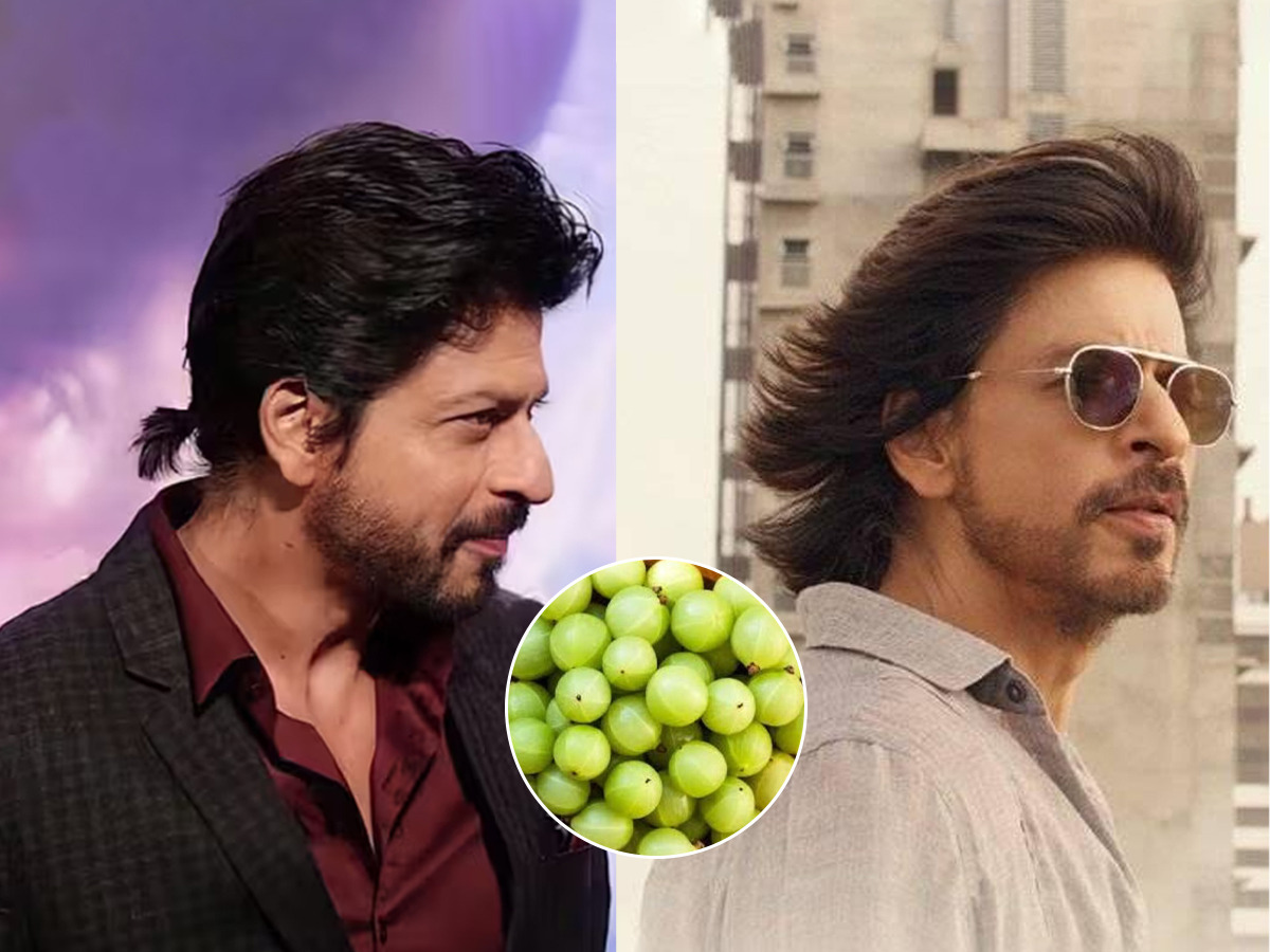 शाहरूखनं सांगितलं बाऊंसी-दाट केसांचं सिक्रेट; काळ्या केसांसाठी वापरतो ...