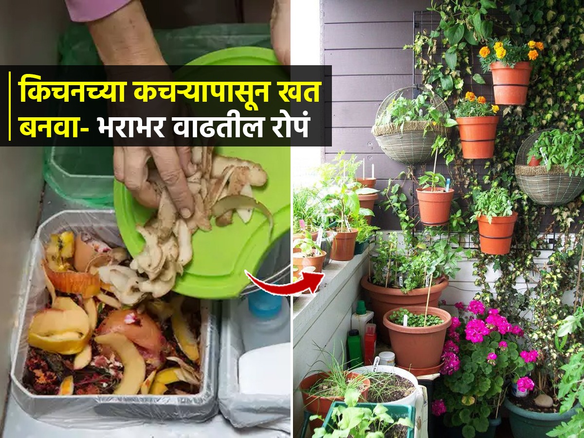 किचनमधल्या कचऱ्यापासून बनवा शुद्ध खत; खर्च न करता रोपं भराभर वाढतील ...