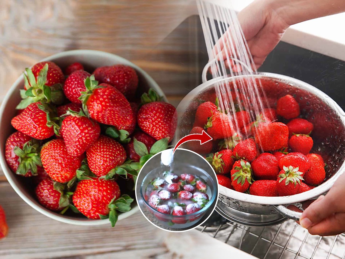 पाण्यानं धुतली म्हणजे स्ट्रॉबेरी स्वच्छ झाली? पाहा स्ट्रॉबेरी धुण्याची ...