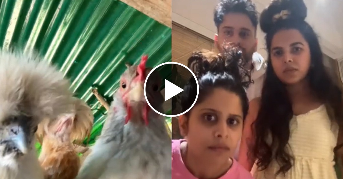 सई, सिद्धार्थच्या साथीने मितालीने केला कोंबडी डान्स; व्हिडीओ पाहून पोट ...