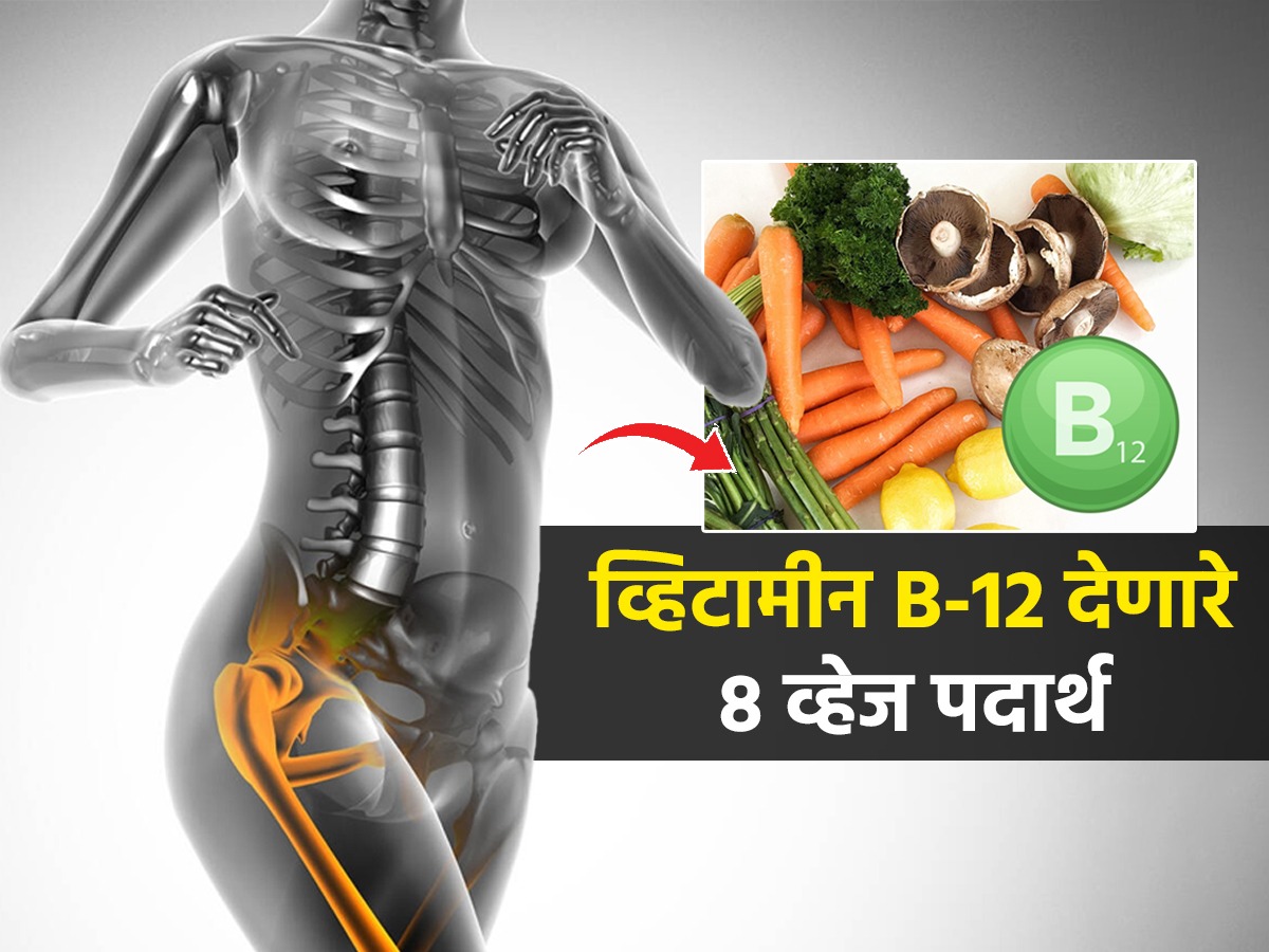 गुडघे ठणकतात-हाडं खिळखिळी झाली? व्हिटामीन B-12 देणारे ८ व्हेज पदार्थ नियमित खा; फिट राहाल ...