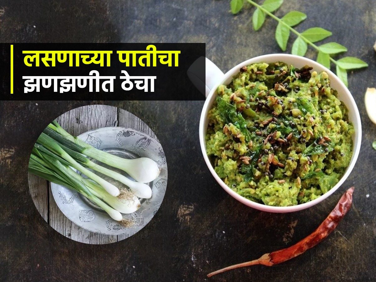 तोंडाला चव आणणारा लसणाच्या पातीचा खमंग- झणझणीत ठेचा, फक्त ५ मिनिटांत ...