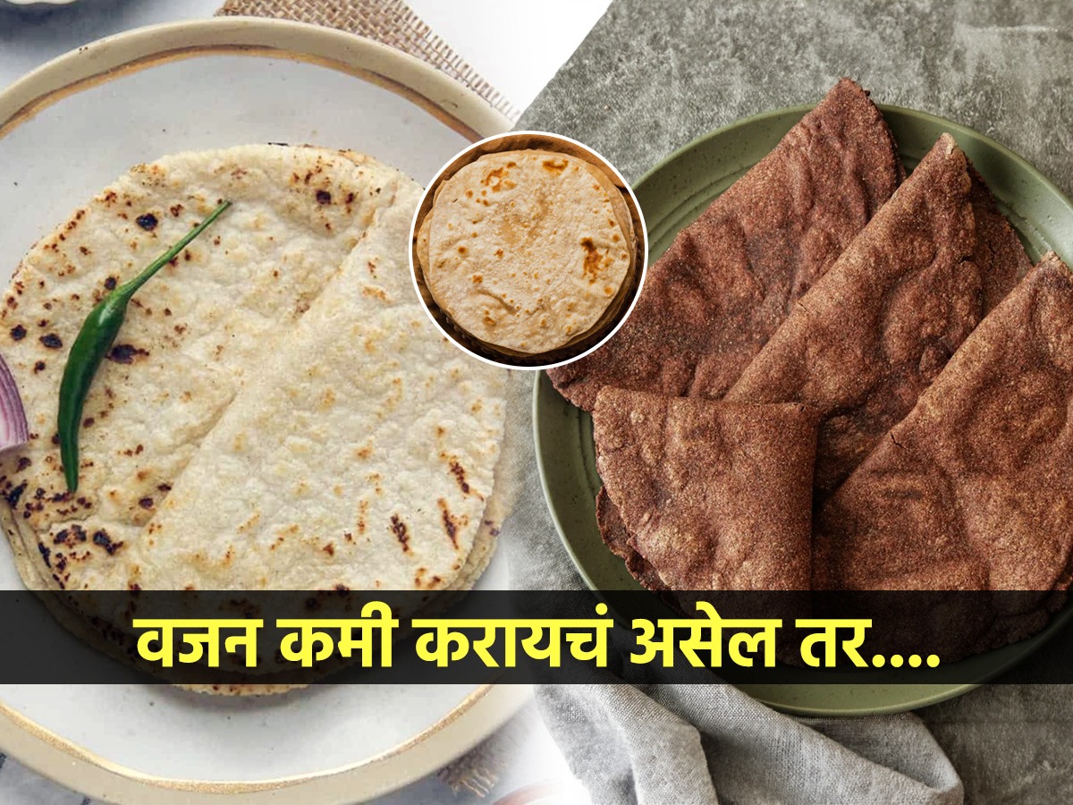 ज्वारीची- नाचणीची की गव्हाची? आपल्यासाठी कोणती भाकरी-चपाती योग्य हे कसं ...