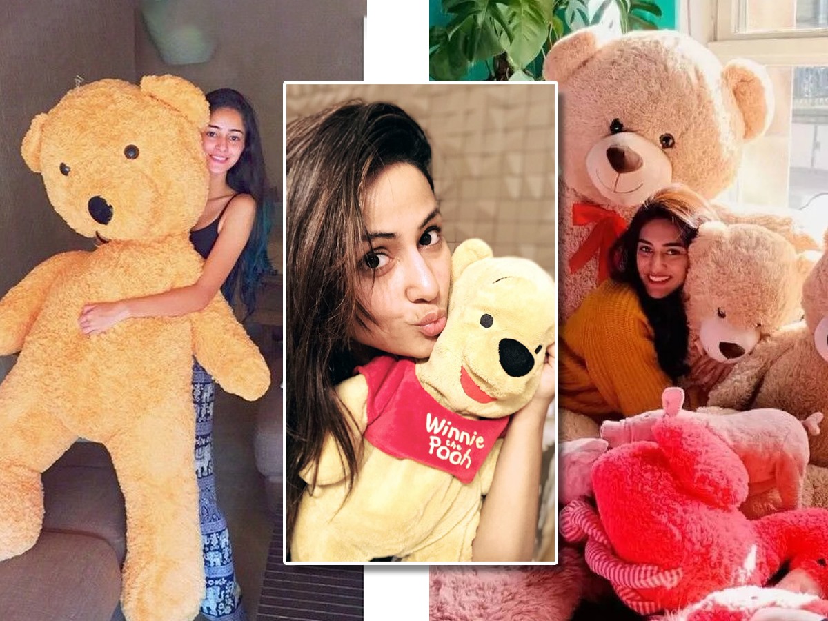 Teddy Day 2024: बॉलीवूड सेलिब्रिटींचं टेडी लव्ह, बघा कोणत्या टेडीमध्ये ...
