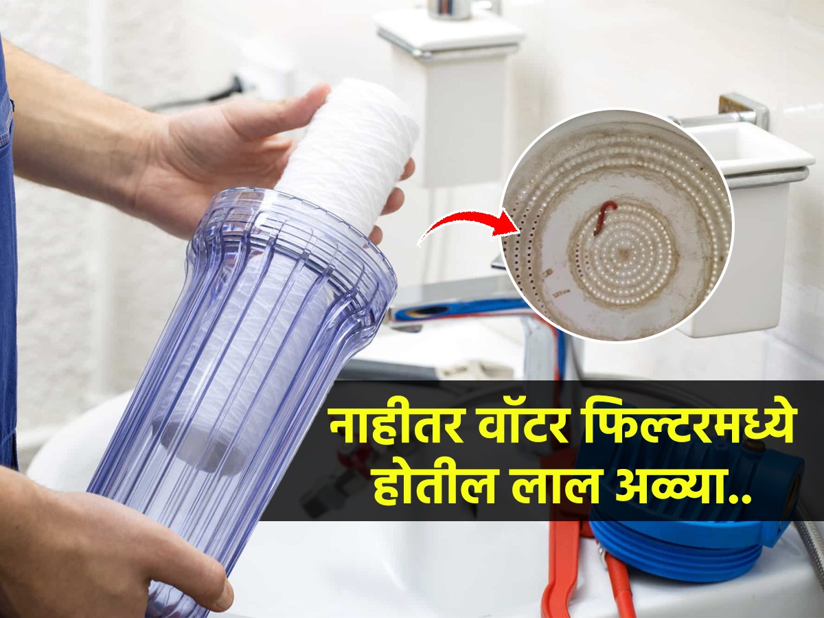 वेळीच घरच्या घरी वॉटर प्युरिफायर साफ करा; नाहीतर तुमच्याही फिल्टरमध्ये ...