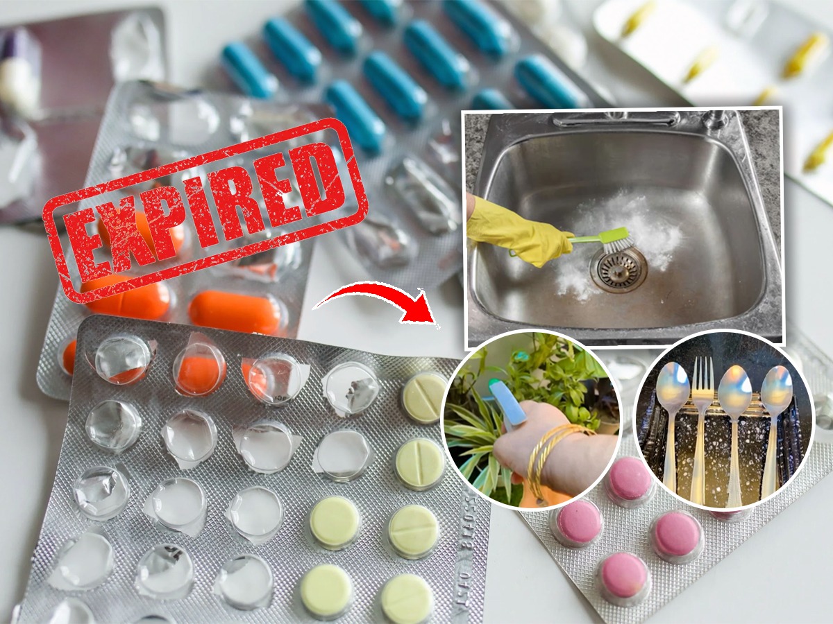 झाडांची वाढ ते तुंबलेलं सिंक; ३ गोष्टींसाठी वापरा एक्सपायरी डेट उलटलेली ...