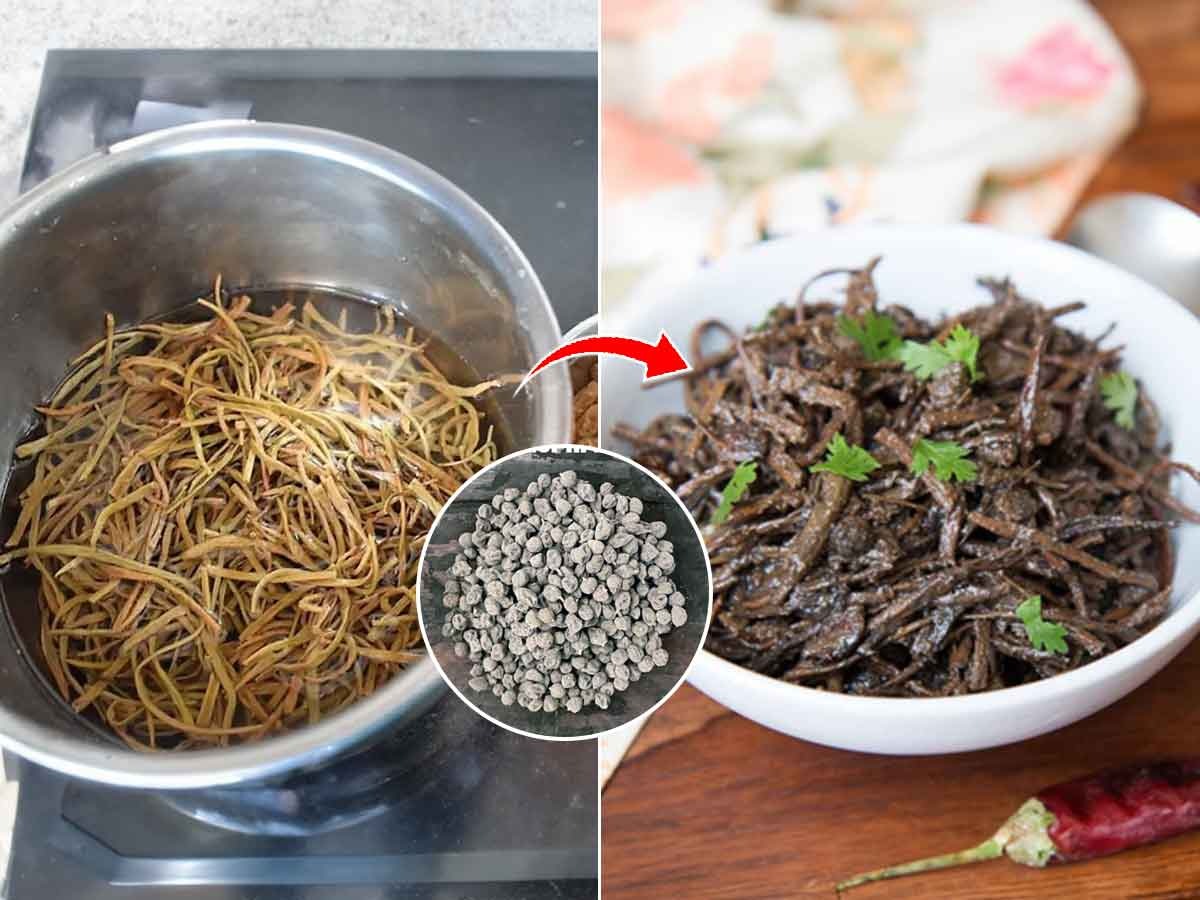 राजस्थानची पारंपरिक पौष्टिक केर सांगरीची भाजी खाल्ली का? पाहा रेसिपी ...