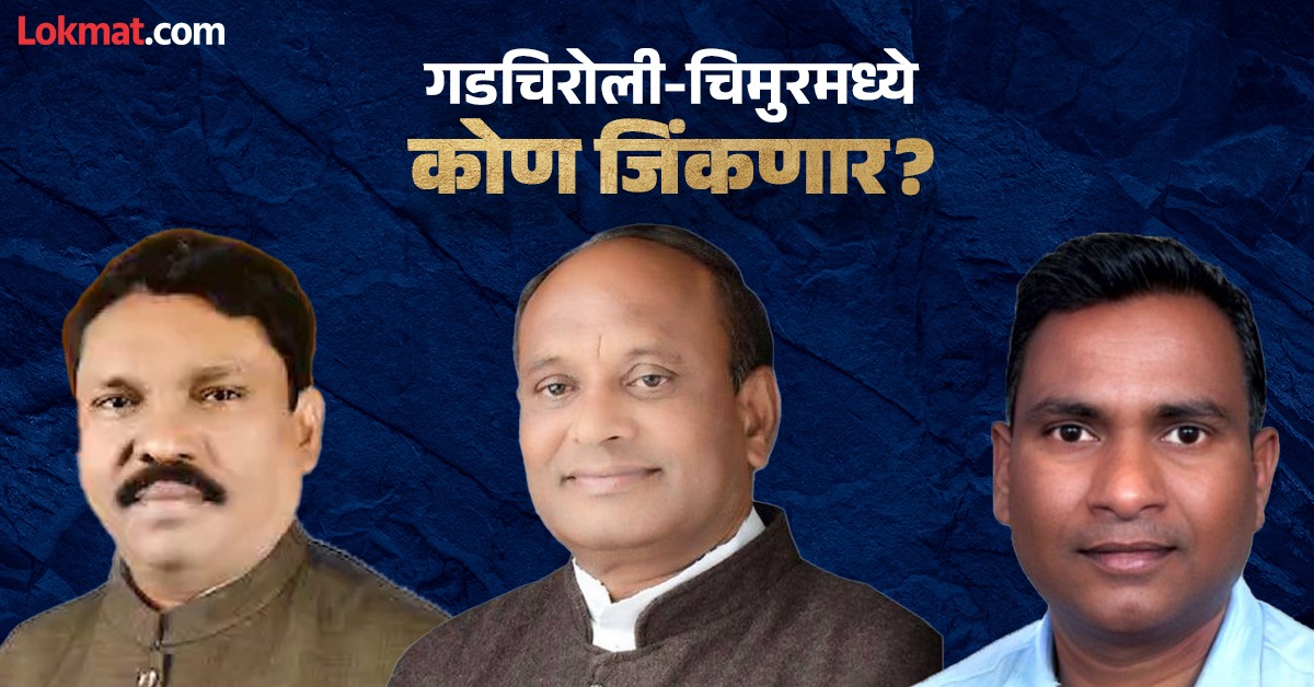 Gadchiroli - Chimur Lok Sabha Results 2024 : भाजपच्या अशोक नेते ...