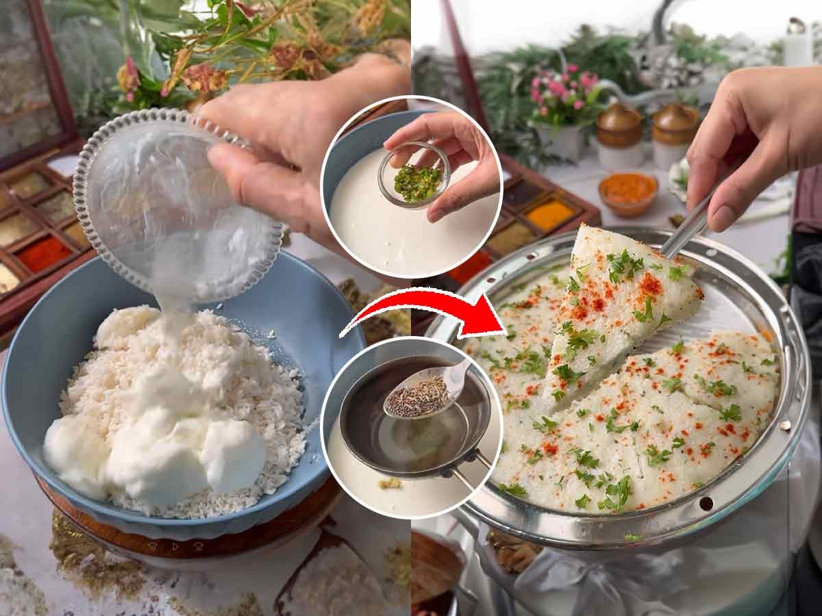 १ कप रव्याचा झटपट करा पांढरा ढोकळा; १० मिनिटांत बनेल मार्केटसारखा मऊ ...