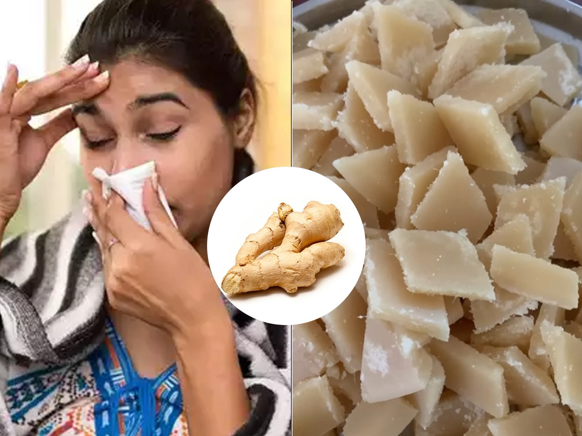 पावसाळ्यात खायलाच हवी आजी करायची तशी आलेपाक वडी, सर्दी खोकला राहतो लांब ...