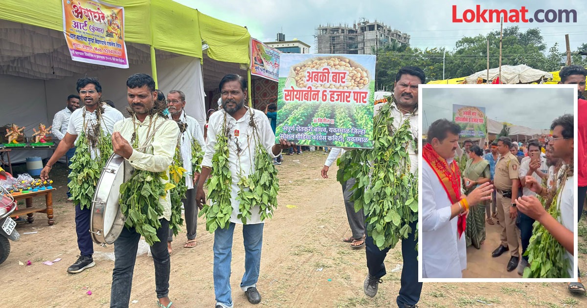 यवतमाळात शेतकाऱ्यांनी घातला पालकमंत्र्यांना घेराव; गळ्यात कापूस ...