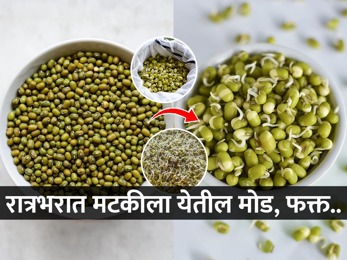 मूग - मटकीला थंडीत मोड येत नाहीत? १ जबरदस्त ट्रिक - मोड येतील लांबसडक ...