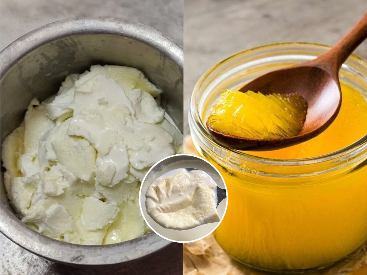 तुपासाठी साय साठवताना लक्षात ठेवा ६ गोष्टी, साय खराब होणार नाही, तूपही ...