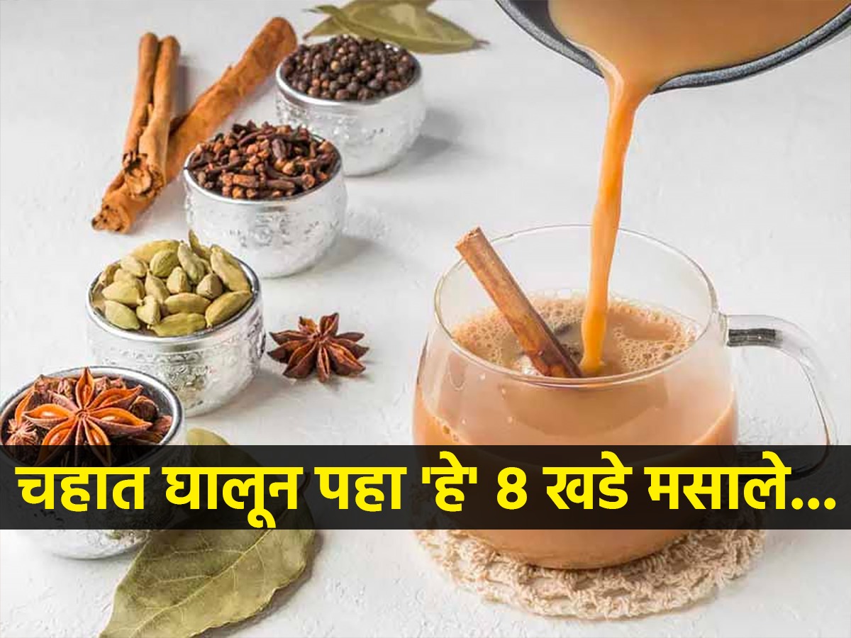 थंडीच्या दिवसांत चहा करताना वापरा ८ सिक्रेट पदार्थ, चहाचा स्वाद वाढेल ...