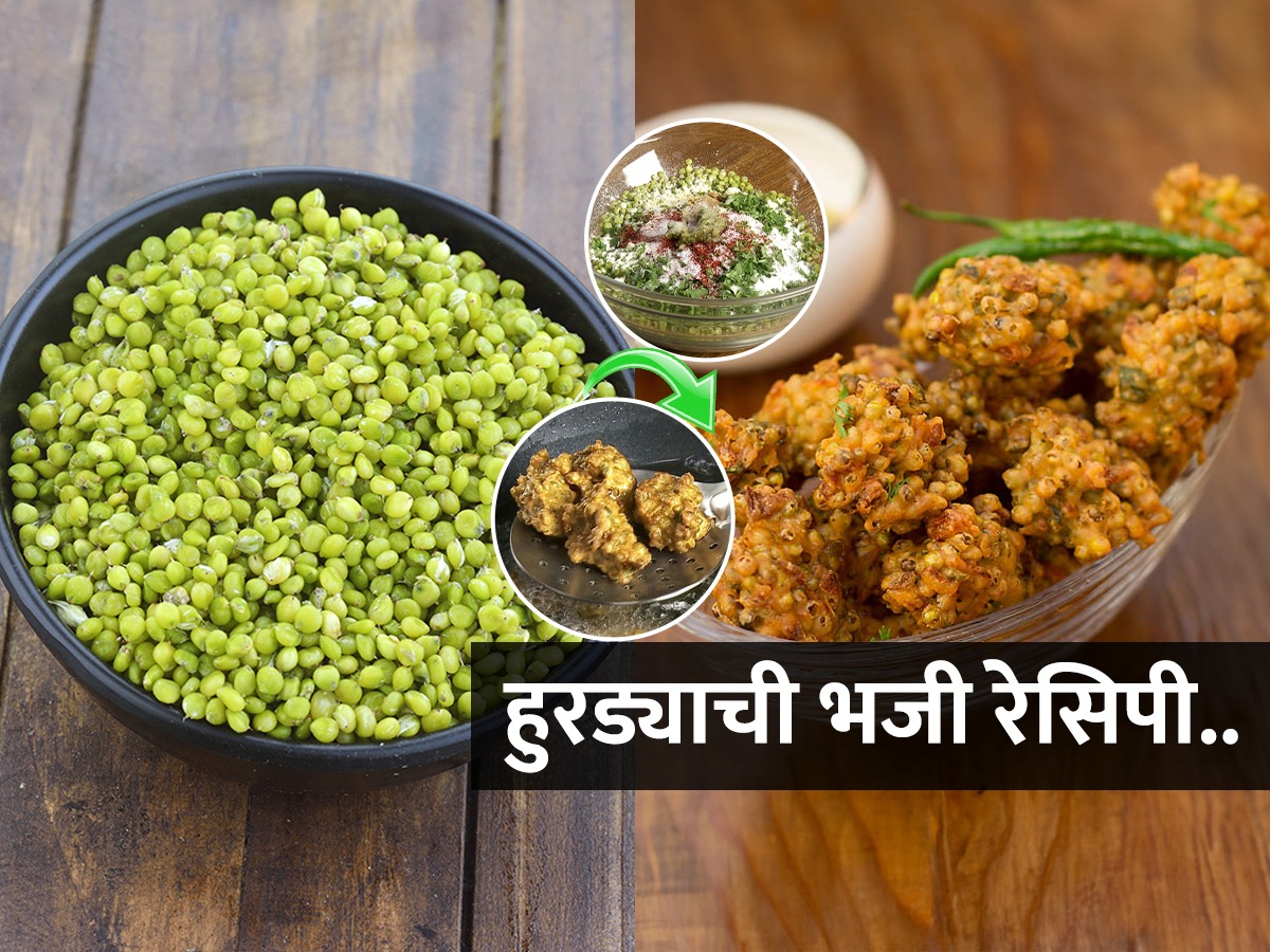 हिवाळ्यात खा ‘हुरडा भजी’, खास गावरान बेत, पारंपरिक पौष्टिक रेसिपी ...