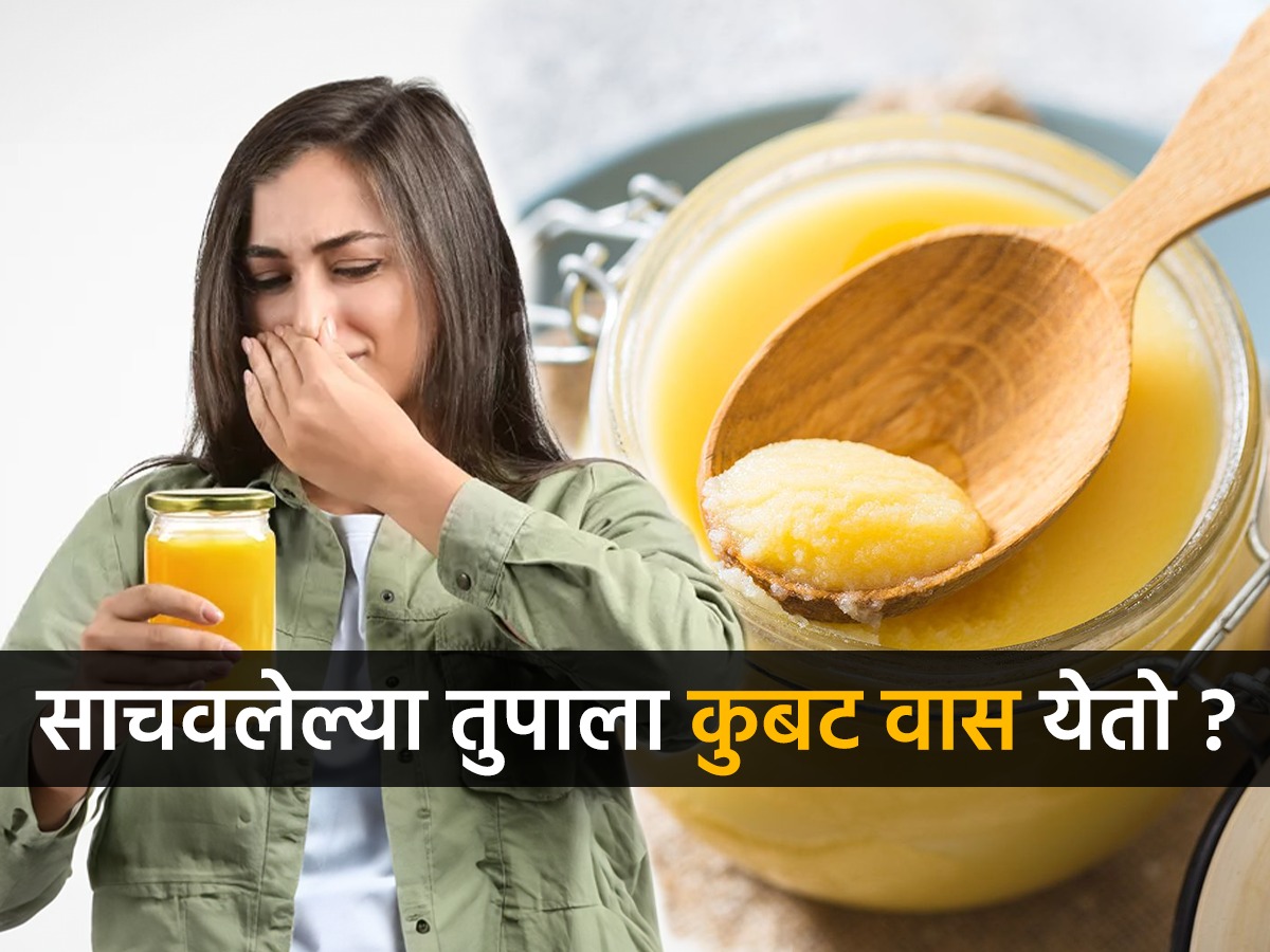 साचवून ठेवलेल्या तुपाला काही दिवसांनी कुबट वास येतो? तुपात २ पदार्थ ...