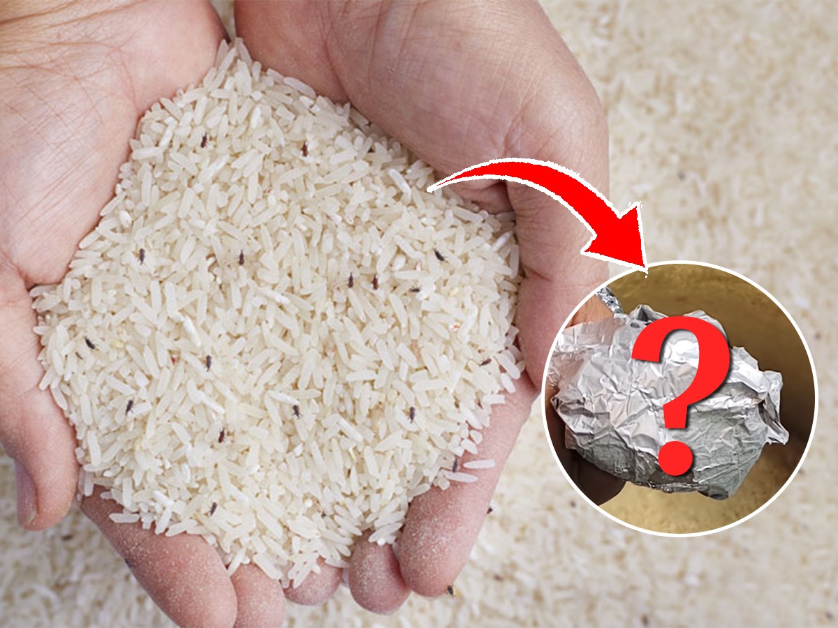 तांदळात किडे झाले? 'हा' पांढरा पदार्थ डब्यात घालून ठेवा- सगळे किडे ...