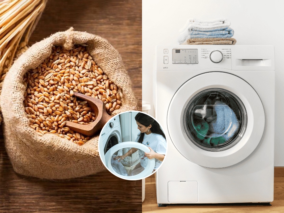 हे काय भलतंच! वॉशिंग मशिनचा वापर करून चक्क गहू वाळवले!! पाहा व्हायरल ...