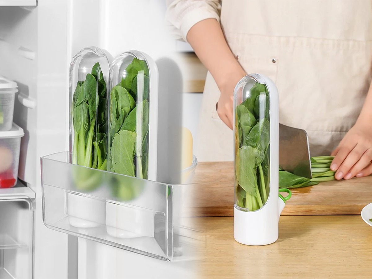 कोथिंबीर आणि पुदिना अजिबात सडणार नाही, आजच खरेदी करा ‘हे’ भन्नाट भांडं ...