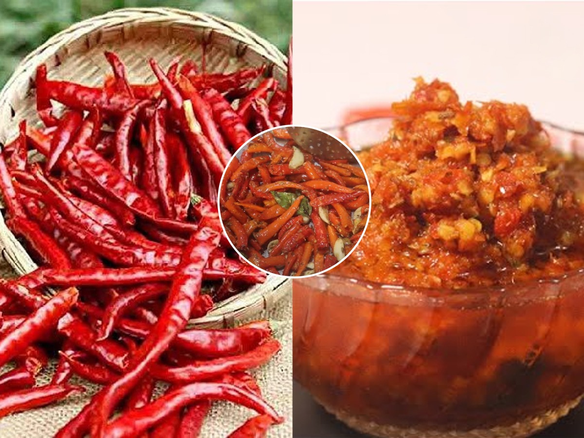 लालबुंद मिरच्यांचा झणझणीत वऱ्हाडी ठेचा, अस्सल मराठी चवीचा सणसणीत मामला ...