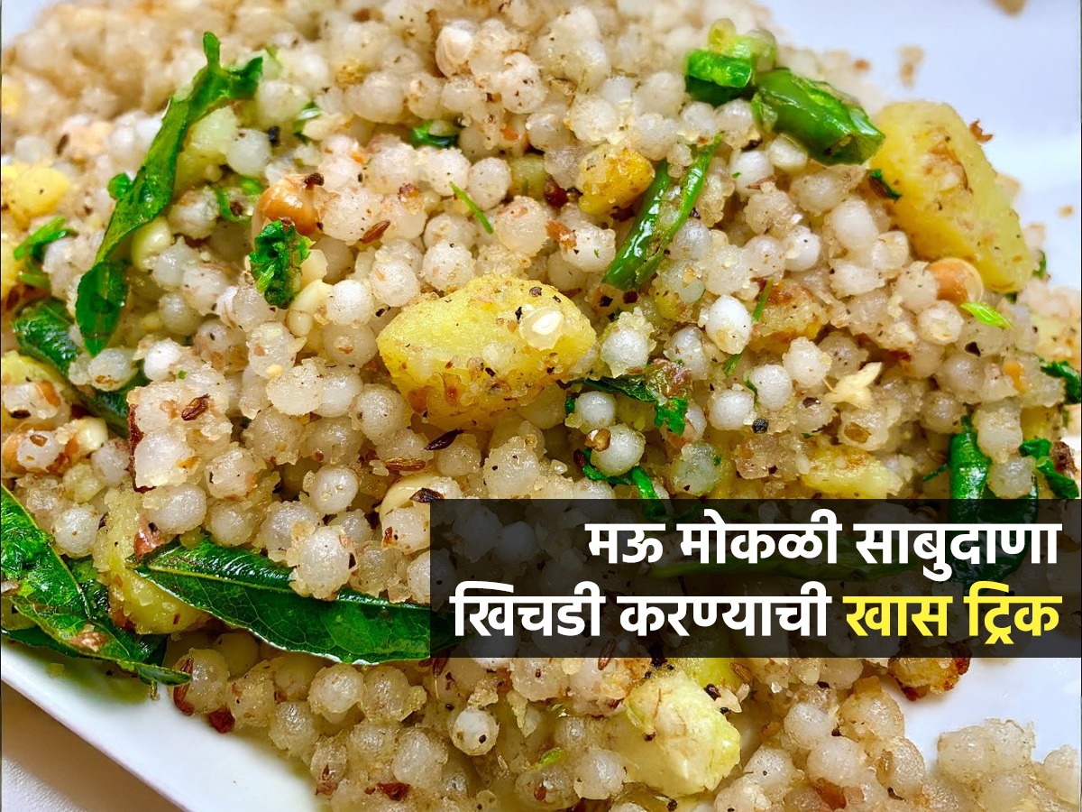 Navratri 2025 : साबुदाणा खिचडी चिकट-कडक होते? ७ टिप्स, नवरात्रात करा मऊ ...