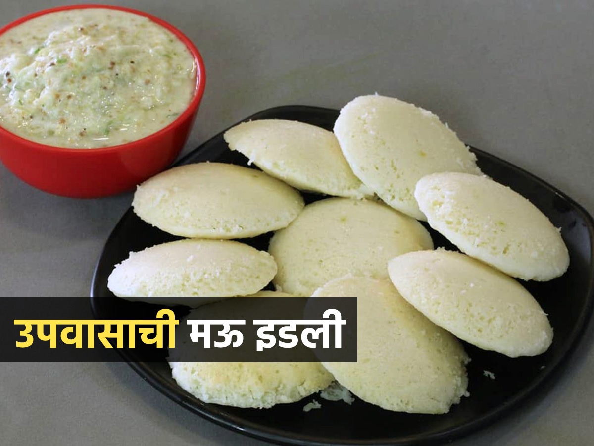 Navratri 2025 : नवरात्रात पटकन करा मऊसूत,लुसलुशीत उपवासाच्या इडल्या ...