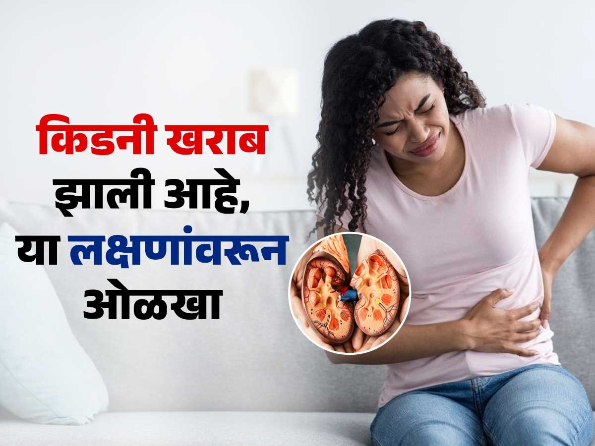 Symptoms That May Indicate Kidney Damage : किडनी खराब झाल्याची लक्षणं कोणती