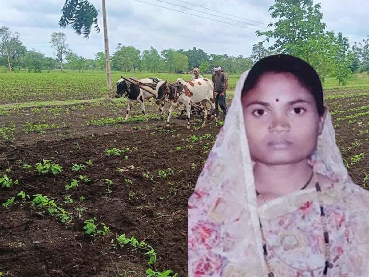 पेरणीसाठी बैलजोडी मिळत नाही; हतबल महिला शेतकऱ्याने संपवलं जीवन Hingoli ...
