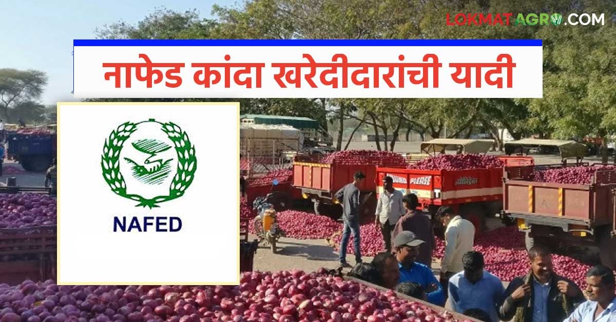 Nafed Kanda Kharedi : नाफेड कांदा खरेदीदारांची व्हायरल यादी आली, पहा ...