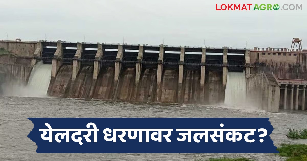 latest news Yeldari Dam Water Level: Warning of 'El Nino'; Crisis ...