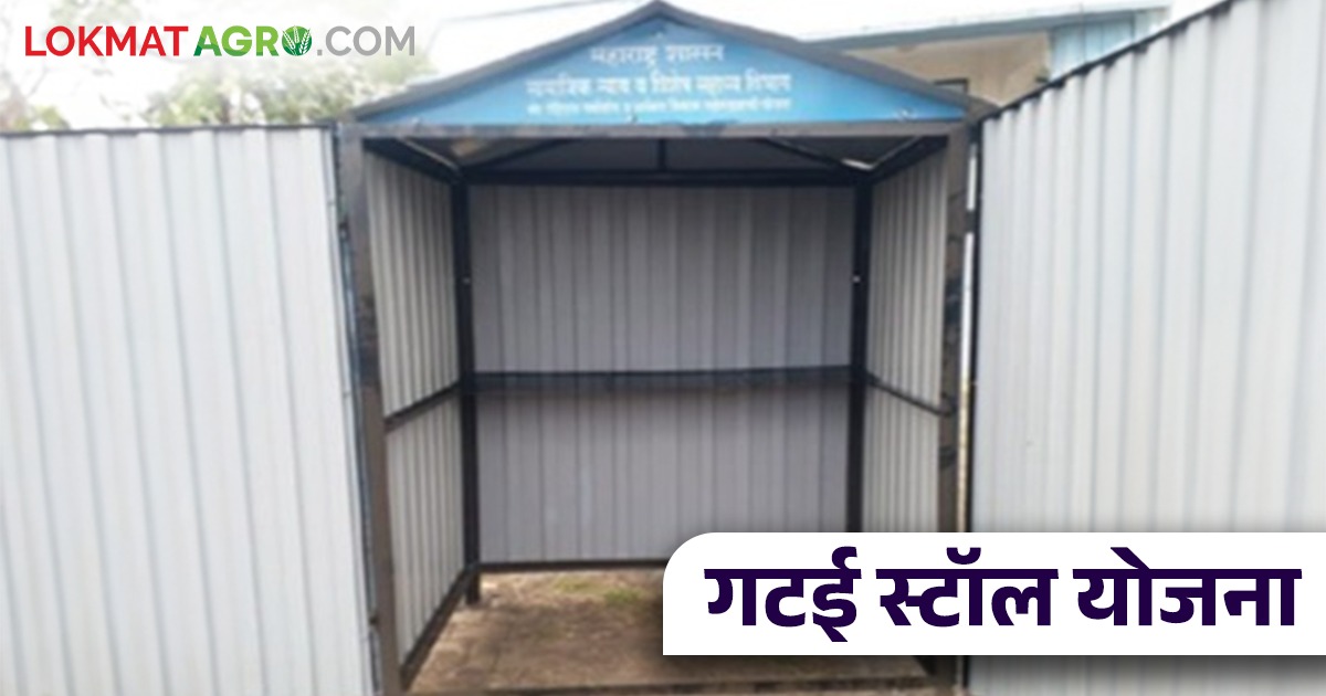 Gatai Stall Yojana : छोटा व्यवसाय सुरु करायचाय? गटई स्टॉल योजना आहे ना ...