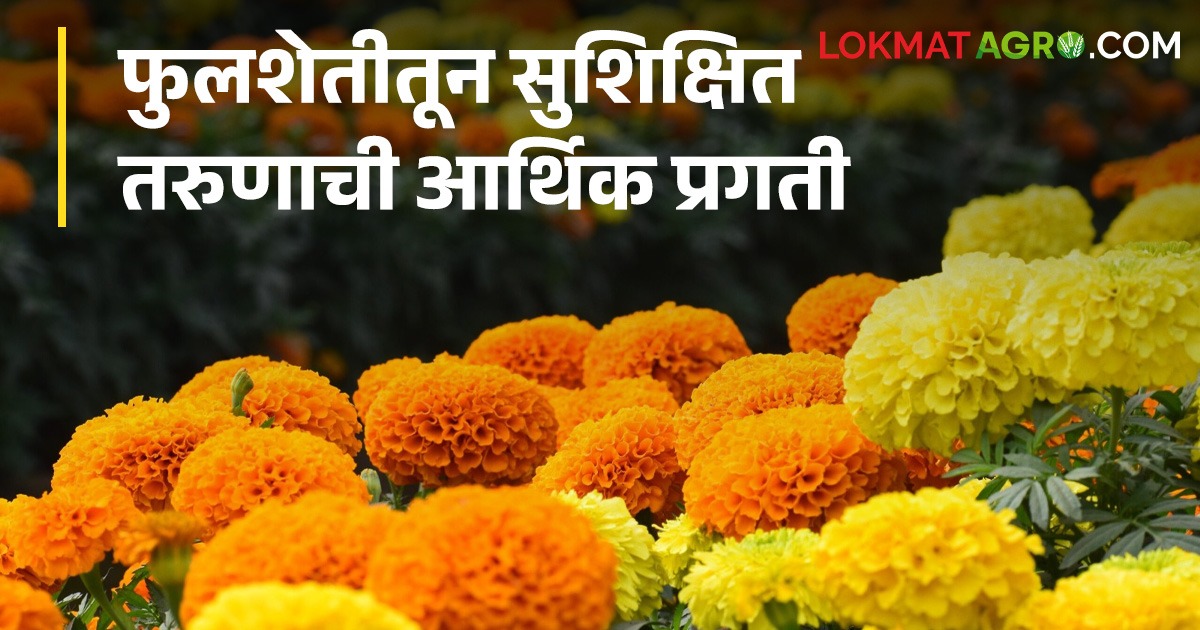 Farmer Success Story : मराठवाड्याच्या देवगाव येथील अनंतारावांची ...