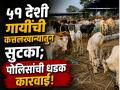 Beed News | Latest Beed News in Marathi | Beed Local News Updates ...