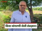 Agriculture & Farming News in Marathi, Latest Information on Organic ...