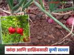 Agriculture & Farming News in Marathi, Latest Information on Organic ...