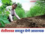 Agriculture & Farming News in Marathi, Latest Information on Organic ...