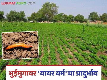 Agriculture & Farming News in Marathi, Latest Information on Organic ...