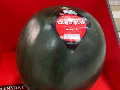See world's most rare and expensive Densuke black watermelon | www ...