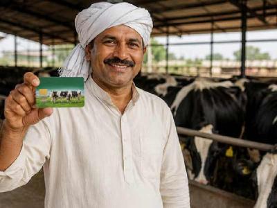 आता मोफत मिळणार चारा बियाणे; पशुपालकांसाठी सरकारची 100% अनुदानावर मोठी ...