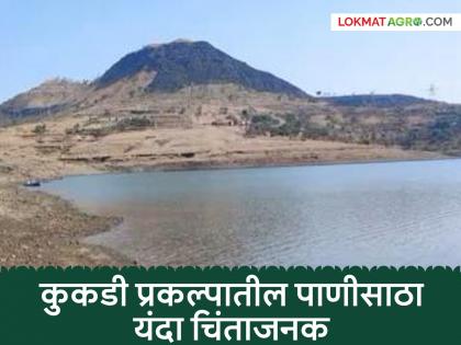 मागील वर्षीच्या तुलनेत कुकडी प्रकल्पातील पाणीसाठ्यात तब्बल १४ ...