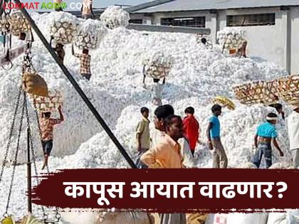 latest news Cotton Market: Big game in the cotton market? Prices fell ...
