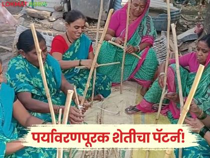latest news Eco Friendly Farming : low cost eco friendly farming model ...