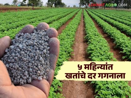 latest news Fertilizer Price Hike: Fertilizer prices hit record high ...