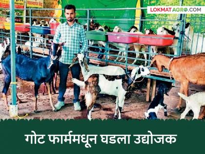 Goat Farming : उच्चशिक्षित तरुणानं नोकरीला राम राम केला, गोट फार्म ...