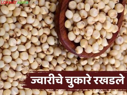latest news Jowar MSP Payment Delay: jowar msp payment pending 23 crore ...