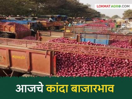 Kanda Market : नाशिकला कांदा आवक वाढली, तर सोलापूरला सरासरी दर वाढले ...